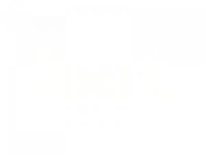 Bacoor Company - Building on Blockchain & Web3 Since 2017